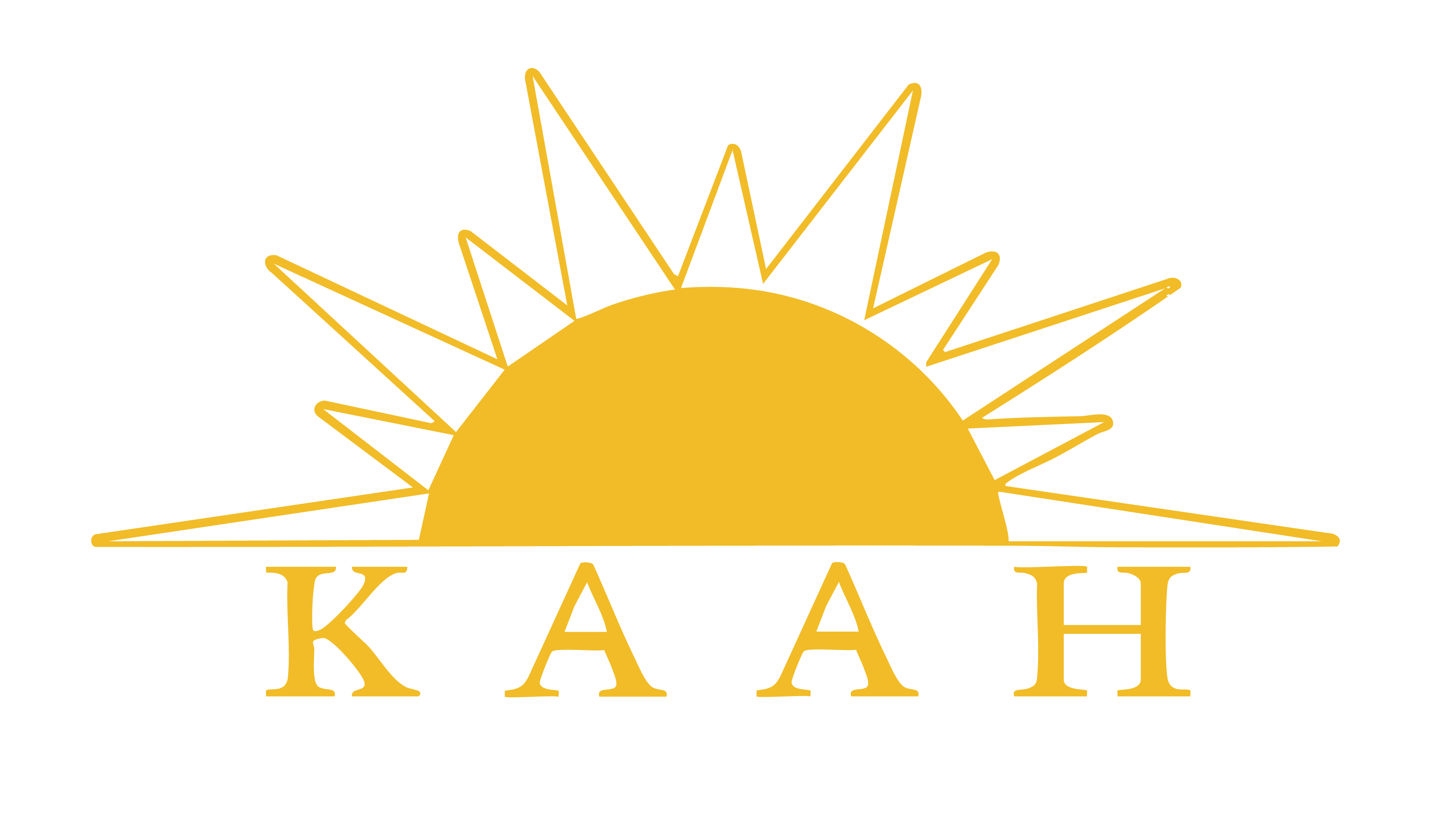 KAAH - Leader In Modern Remittance